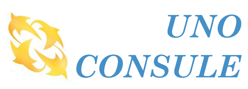 UNO CONSULE - Digital Innovation Zone